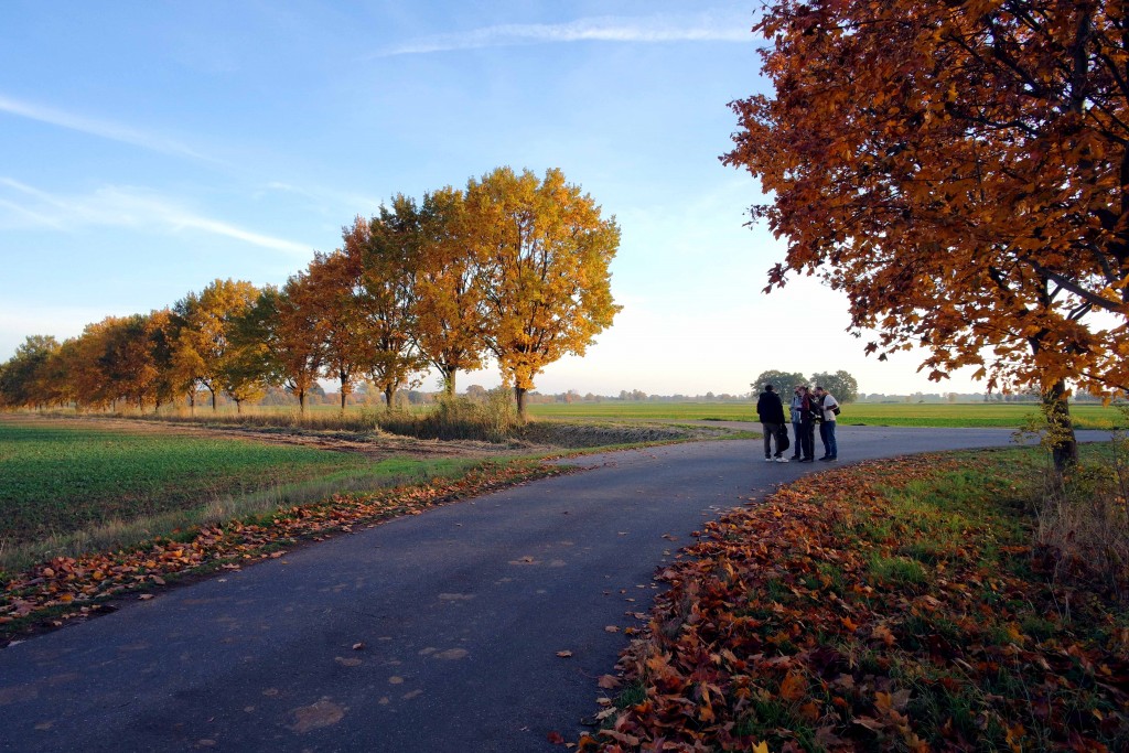 Battle of the Seelow Heights and a walk near the Oder river | Middle Europe